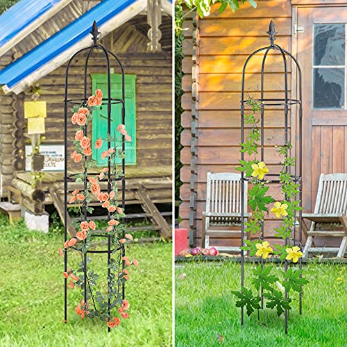 Garden Obelisk Trellis for Climbing Plants, Rustproof Plastic Coated Metal Plant Support, Garden Tower Trellis Indoor Potted Plant, Tomato Plant Cage for Support Rose, Vegetable Vines(2 Pack)
