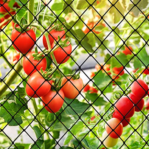 Bird Netting, Garden Netting with 3/4β Mesh Net as Poultry Netting for Chicken Coop, Heavy Duty Nylon Netting for Garden Protection, Fruit Tree Netting for Orchard, Vegetable Against Squirrels, Deer