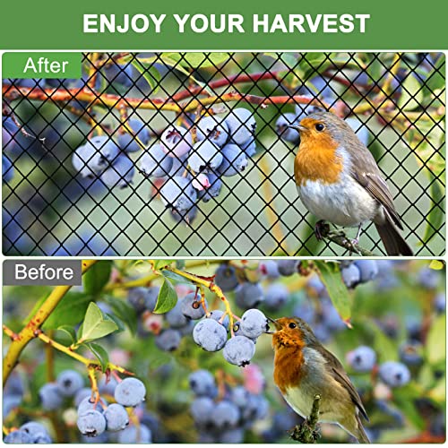 Bird Netting, Garden Netting with 3/4β Mesh Net as Poultry Netting for Chicken Coop, Heavy Duty Nylon Netting for Garden Protection, Fruit Tree Netting for Orchard, Vegetable Against Squirrels, Deer