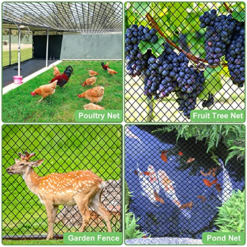 Bird Netting, Garden Netting with 3/4β Mesh Net as Poultry Netting for Chicken Coop, Heavy Duty Nylon Netting for Garden Protection, Fruit Tree Netting for Orchard, Vegetable Against Squirrels, Deer