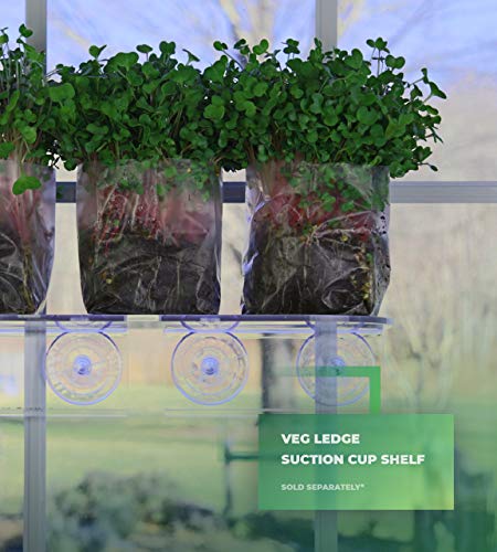 Window Garden Microgreens Grow Kit - Assorted Microgreen Seeds, Indoor Starter Growing Kit -Window Garden 20 Cavity Seed Propagation Kits (2) β Complete with Fiber Soil