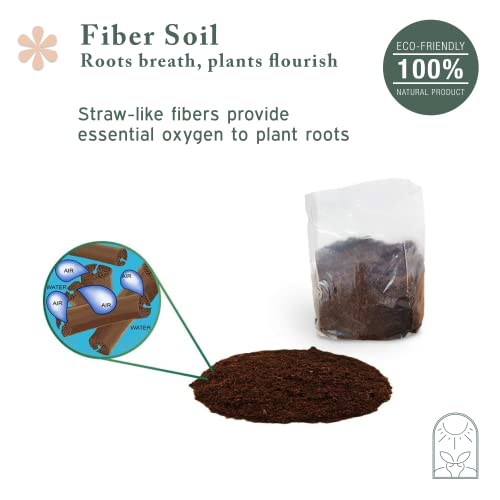 Window Garden Microgreens Grow Kit - Assorted Microgreen Seeds, Indoor Starter Growing Kit -Window Garden 20 Cavity Seed Propagation Kits (2) β Complete with Fiber Soil