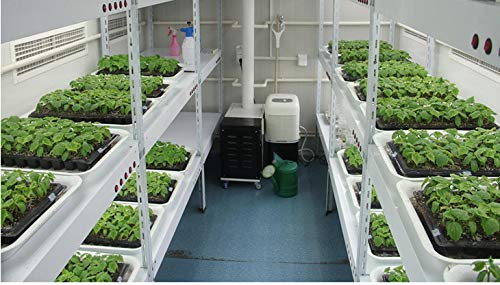 1.5” Rockwool Starter Plugs for Hydroponics, Rockwool Grow Cubes, 1 Sheets of 28 Plugs (Small)