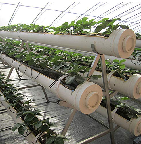 1.5” Rockwool Starter Plugs for Hydroponics, Rockwool Grow Cubes, 1 Sheets of 28 Plugs (Small)