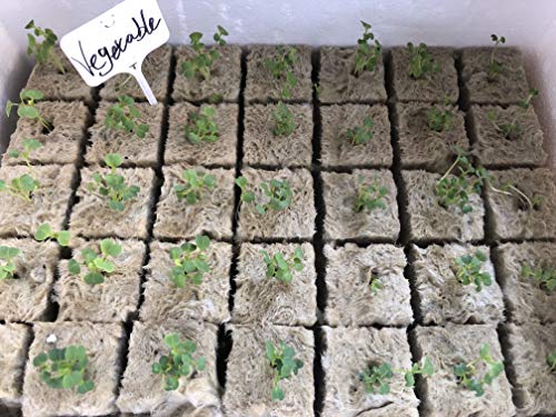1.5” Rockwool Starter Plugs for Hydroponics, Rockwool Grow Cubes, 1 Sheets of 28 Plugs (Small)