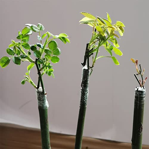 Liaogo Grafting Tape Grafting Film for Plants, 2 Pack Stretchable Garden Grafting Tape Plants Repair Budding Tapes for Floral Fruit Tree and Poly Budding Tape