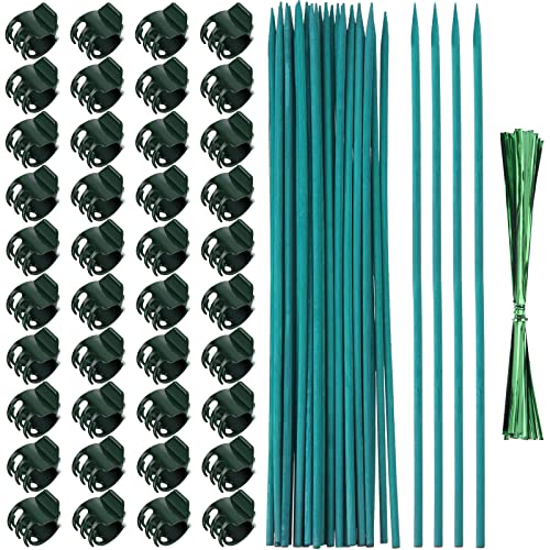 Jetec 40 Pieces Orchid Clips Plastic Garden Plant Clips with 20 Pieces Plant Support Stakes, 20 Pieces Metallic Twist Ties for Supporting Stems Vines Stalks Grow Upright (38 cm)