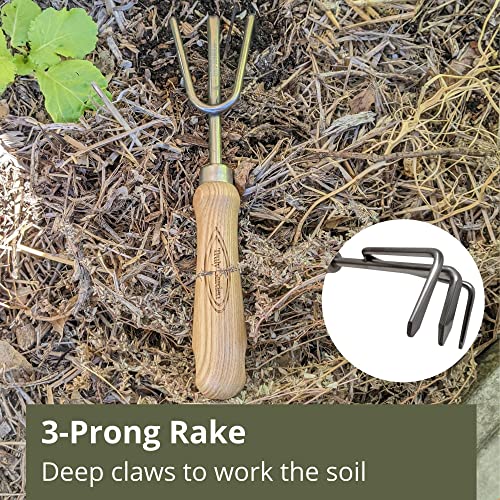 Classic 3 Piece Garden Hand Tool Set Made with Wooden Handle and Stainless Steel. Includes Large Trowel, Cultivator Hand rake, and Transplanter Trowel. Tools are Large and Heavy Duty. by Truly Garden