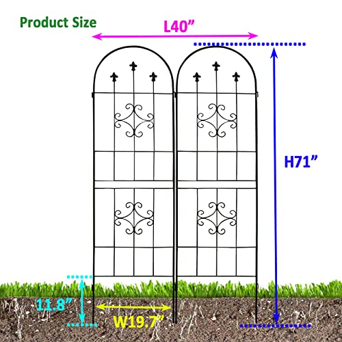eLeGreen 2 Pack Metal Garden Trellis for Climbing Plants 19.7''x 71'' Rustproof Metal Rose Trellis Vines Peas Support Plant Stand Black