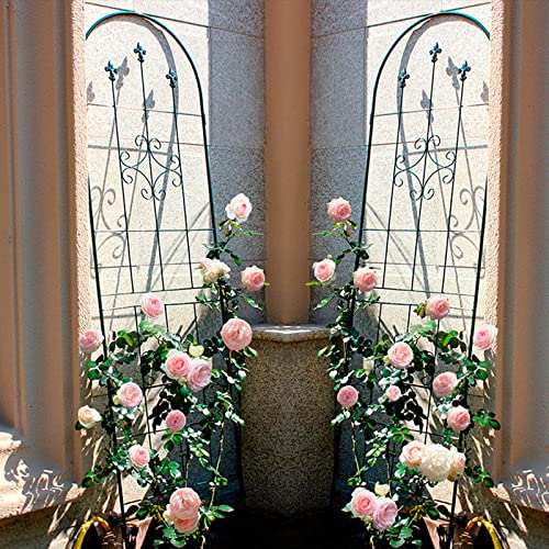 eLeGreen 2 Pack Metal Garden Trellis for Climbing Plants 19.7''x 71'' Rustproof Metal Rose Trellis Vines Peas Support Plant Stand Black