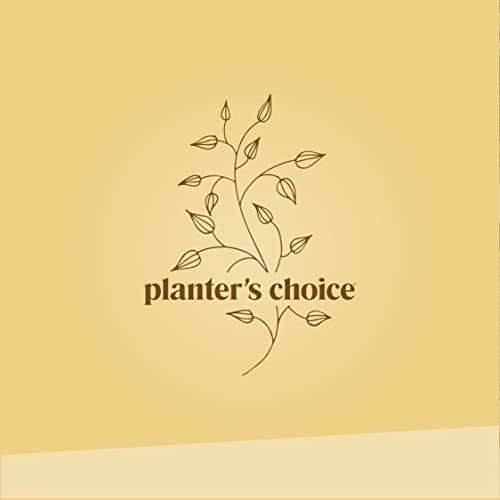 Indoor Herb Garden Starter Kit - Cooking Gifts for Women Gardener - Creative Kitchen Gift for Plant Lovers - Home Herb Growing, Gardening Seeds + Step by Step Guide - Vegan Gift Ideas for Lover
