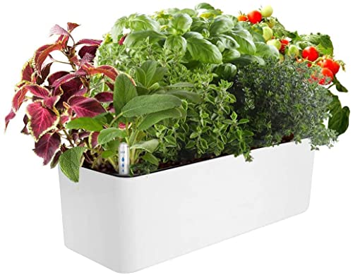 J&C Self Watering Planter, Window Gardening Box, 16x 5.5 Inch, Indoor Home Garden, Modern Decorative Planter Pot for All Indoor Plants, Rectangle, White (Plants Not Included)
