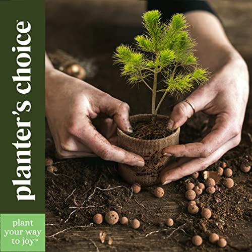 Indoor Herb Garden Starter Kit - Cooking Gifts for Women Gardener - Creative Kitchen Gift for Plant Lovers - Home Herb Growing, Gardening Seeds + Step by Step Guide - Vegan Gift Ideas for Lover