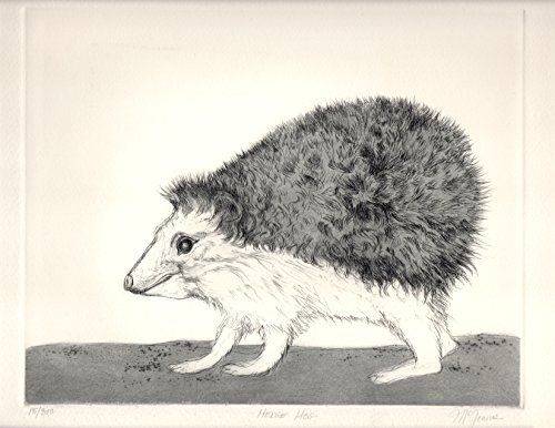 Hedgehog