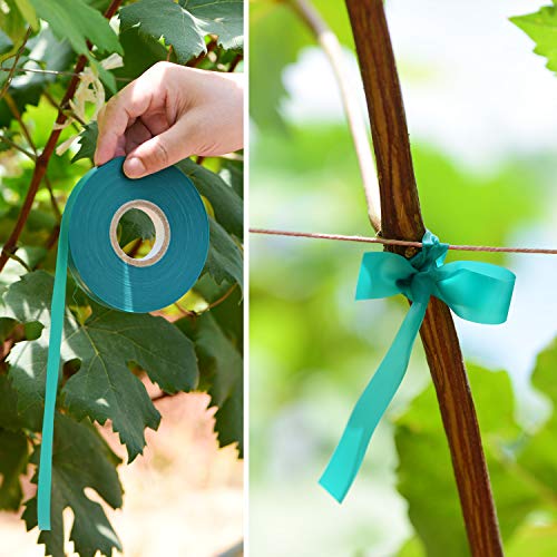 TELENT OUTDOORS 2 Pcs 150 Feet x 1/2" Wide Stretch Tie Tape Green Plant Garden Tie, Garden Vinyl Stake for Branches, Climbing Planters, Flowers
