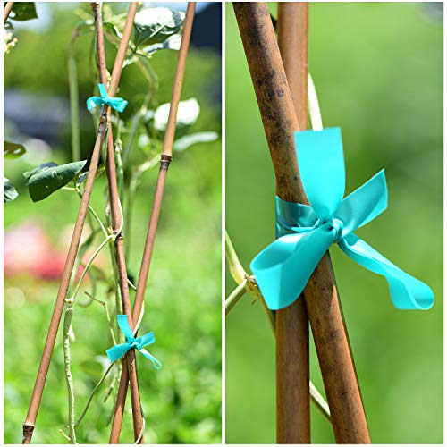 TELENT OUTDOORS 2 Pcs 150 Feet x 1/2" Wide Stretch Tie Tape Green Plant Garden Tie, Garden Vinyl Stake for Branches, Climbing Planters, Flowers