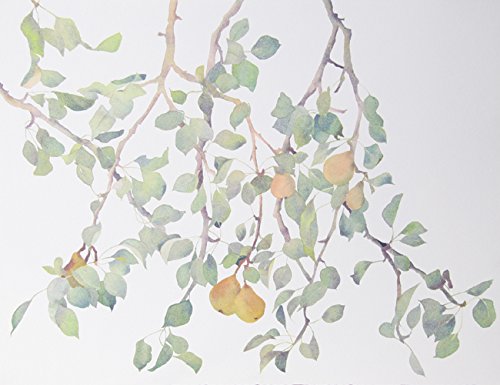 Pear Tree