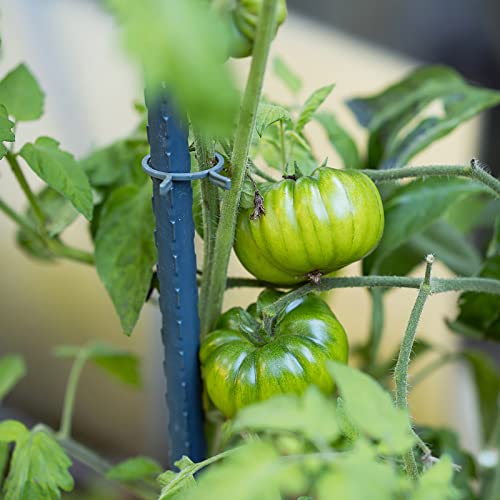 Garden Stakes 36 Inches Plastic Coated Hollow Steel Plant Stakes, Tomato Stakes, Pack of 25