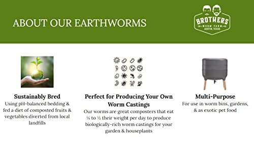 BROTHERS WORM FARM - 100 Live Red Wiggler Composting Worm Mix. Worms for Composting and Creating Worm Castings at Home. Ideal for Worm Composters, Gardens, and Worm Bins.