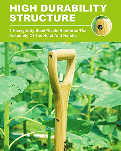 Garden Fork Heavy Duty Pitchfork for Digging Gardening Spade Fork 43 inch with D-Handle 4-Tine Pitch Fork Garden Tool for Spading Digging Turning Planting Cultivating Aerating Steel Compost Fork