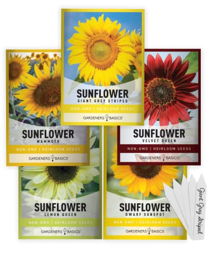 Sunflower Seeds for Planting Flowers (5 Pack Mix) - Velvet Queen, Dwarf Sunspot, Lemon Queen, Giant and Mammoth Bulk Mix of Regular Sunflower Seeds for Outdoor Flower Garden by Gardners Basics