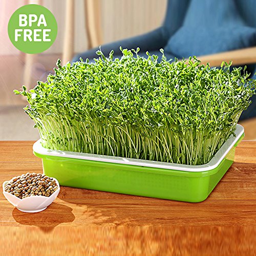 LeJoy Garden Seed Sprouter Tray BPA Free PP Soil-Free Big Capacity Healthy Wheatgrass Grower with Lid Sprouting Kit 13.4x9.84x4.72 inches(LxWxH)
