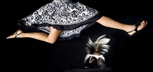 Skunk Jump