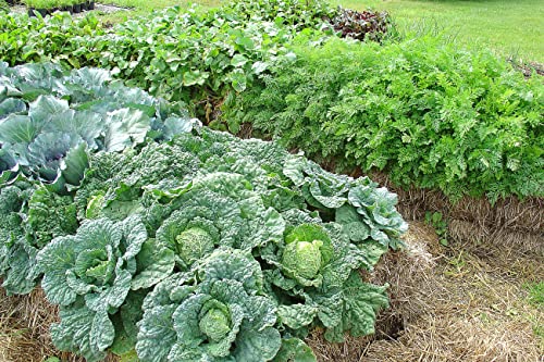 BaleBuster4 Four Bale Conditioning Formula for Preparation of a Straw Bale Garden for Planting a Vegetable Garden