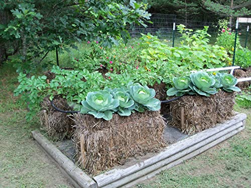 BaleBuster4 Four Bale Conditioning Formula for Preparation of a Straw Bale Garden for Planting a Vegetable Garden