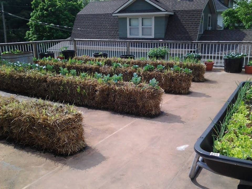 BaleBuster4 Four Bale Conditioning Formula for Preparation of a Straw Bale Garden for Planting a Vegetable Garden