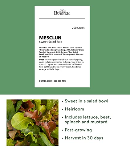 Burpee Sweet Salad Mix Mesclun Seeds 750 seeds