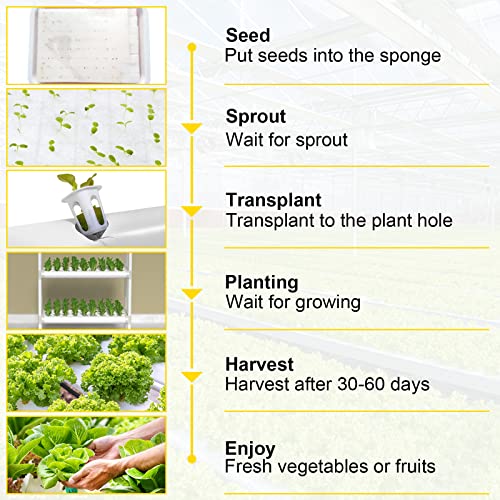 VEVOR Hydroponics Growing System, 36 Sites 4 Food-Grade PVC-U Pipes, 4 Layers Indoor Planting Kit with Water Pump, Timer, Nest Basket, Sponge for Fruits, Vegetables, Herb, White