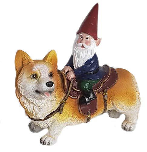 Funny Guy Mugs Garden Gnome Statue - Gnome Riding a Corgi - Indoor/Outdoor Garden Gnome Sculpture for Patio, Yard or Lawn