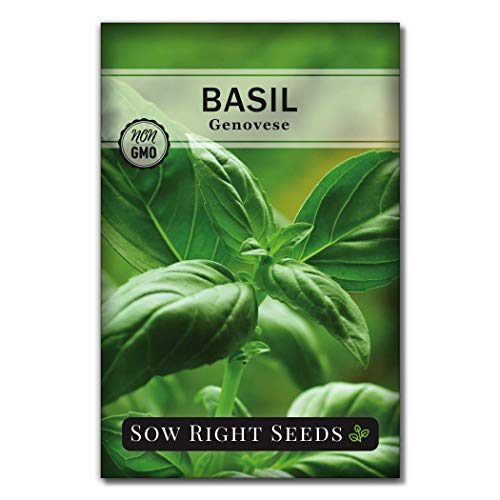 Sow Right Seeds - Hydroponic Herb Seeds for Planting - Basil, Thyme, Cilantro, Parsley, & Oregano Seeds for Planting and Growing a Hydroponic Garden Indoors - Perfect for Your Growing Tower or System