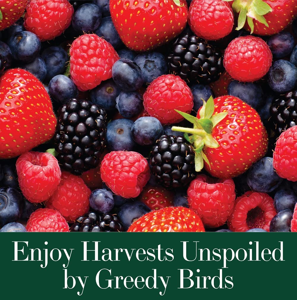 Dalen Bird X Protective Mesh Netting - Keep Birds and Pests Away from Your Garden ā Non Toxic - Made in The USA - 14' x 14'