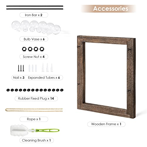 Mkono Double Layer Wall Hanging Glass Planter Propagate Station, Modern Novel Flower Bulb Vase Plant Terrarium with Retro Wooden Stand for Hydroponics Plants Home Garden Office Decor, 6 Bulb Vase