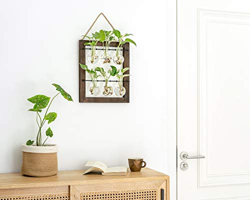 Mkono Double Layer Wall Hanging Glass Planter Propagate Station, Modern Novel Flower Bulb Vase Plant Terrarium with Retro Wooden Stand for Hydroponics Plants Home Garden Office Decor, 6 Bulb Vase