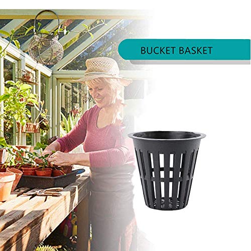 IPXEAD 100PCS 2 Inch Garden Slotted Mesh Net Cups, Round Heavy Duty Net Cups Pots for, Hydroponics Slotted Mesh…