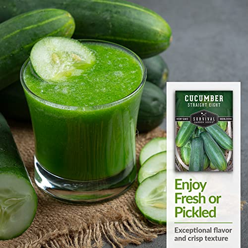 Survival Garden Seeds - Straight Eight Cucumber Seed for Planting - Packet with Instructions to Plant and Grow Pickling and Slicing Cucumbers in Your Home Vegetable Garden - Non-GMO Heirloom Variety