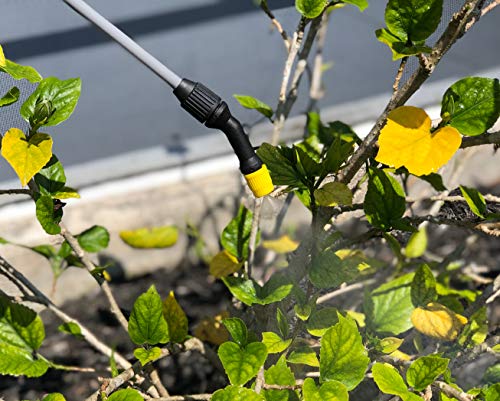 Pumpless Battery Powered Sprayer