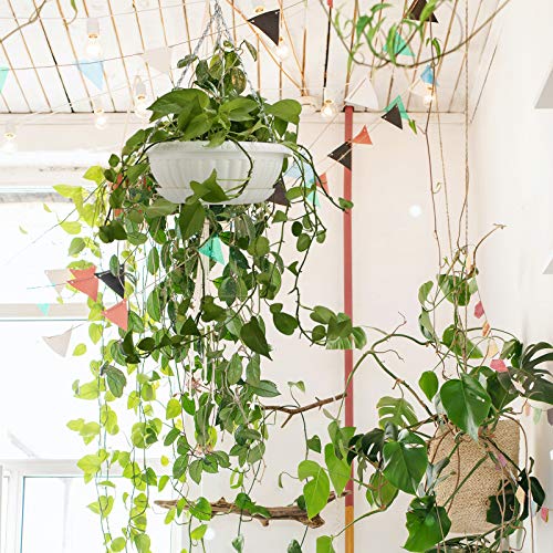 12.59" Large Hanging Planters with Drainage Hole&Tray, Hanging Flower Pots Plastic Plant Hanger Holders Hanging Basket for Indoor Outdoor Home Garden Herb Succulent (Pack 3)