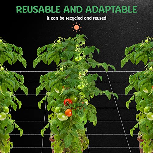 Seedfactor 5 x 30 ft. Plant Trellis Netting, Heavy-Duty Polyester Grow Net, Garden Trellis Netting with Square Mesh for Climbing Plants, Vegetables, Fruits, and Flowers, 1-Pack