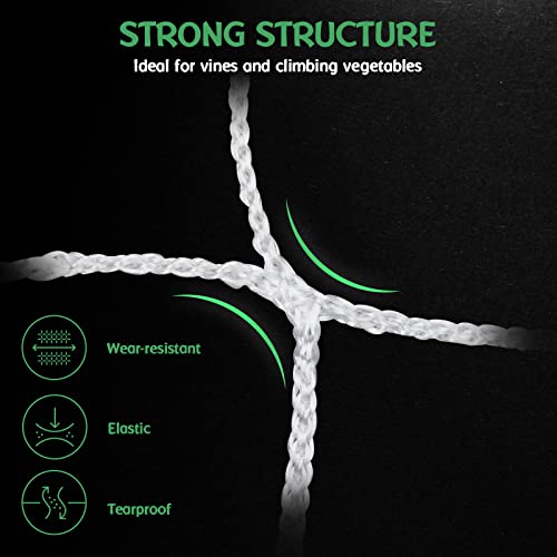 Seedfactor 5 x 30 ft. Plant Trellis Netting, Heavy-Duty Polyester Grow Net, Garden Trellis Netting with Square Mesh for Climbing Plants, Vegetables, Fruits, and Flowers, 1-Pack