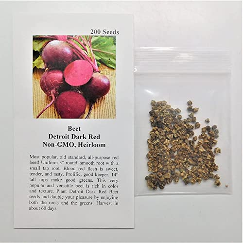 David's Garden Seeds Beet Detroit Dark Red FBA-00014 (Red) 200 Non-GMO, Heirloom Seeds
