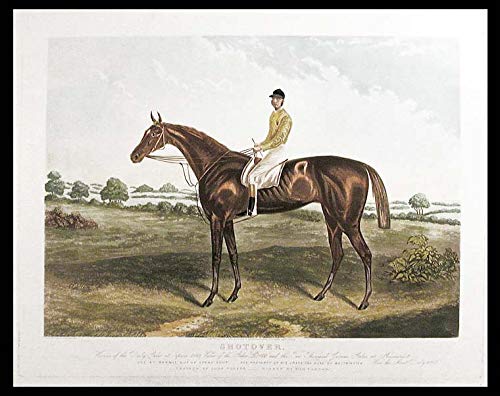 Shotover, Winner of the Derby Stakes at Epsom 1882, Value of the Stakes ú4800 and the Two Thousand Guineas at Newmarket. got by Hermit out of Stray Shot. The Property of His Grace the Duke of Westminster. Won the Ascot Derby 1882. Trained by John Porter -