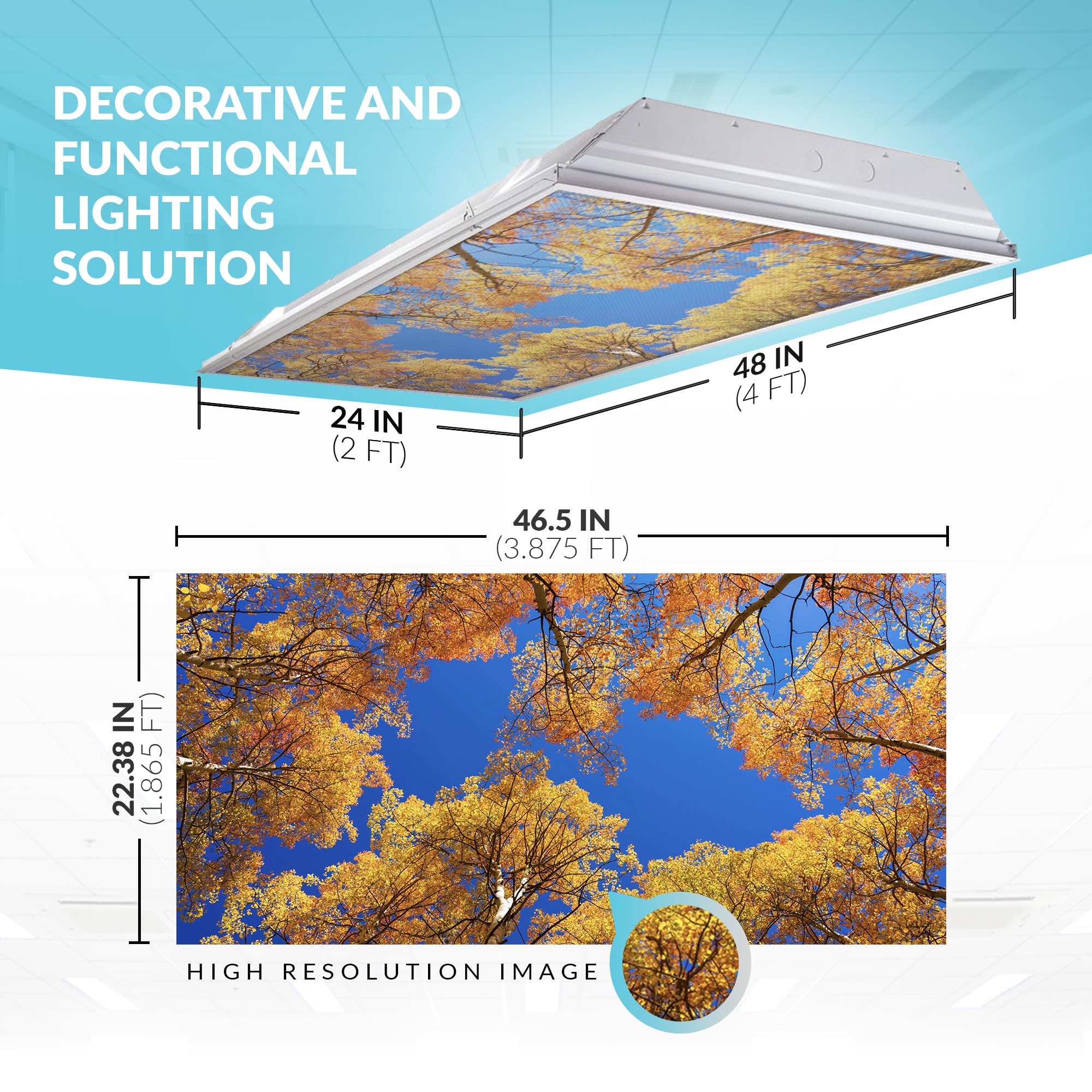 Octo Lights Fluorescent Light Covers for Ceiling Lights Classroom 2x4 (22.38in X 46.5in) Improve Focus, Eliminate Headaches, Provide Florescent Light Relief - Tree 010