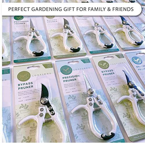 LOOPSEED Plant Pruning Shears Garden Trimming Scissors Precision Hand Pruner Herb Snips Flower Clippers Bonsai Trimmers Straight Sharp Blade Tapered Tip Ergonomic Handle Modern Garden Tools