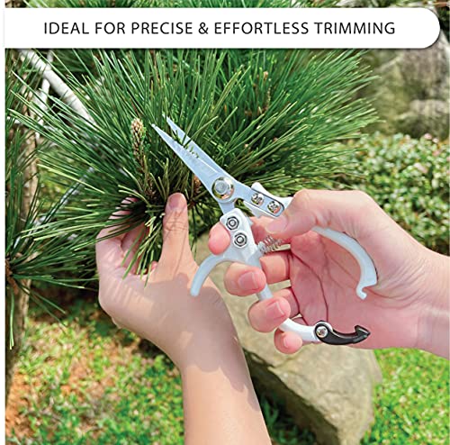 LOOPSEED Plant Pruning Shears Garden Trimming Scissors Precision Hand Pruner Herb Snips Flower Clippers Bonsai Trimmers Straight Sharp Blade Tapered Tip Ergonomic Handle Modern Garden Tools