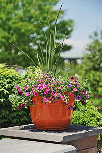 Garden Elements Glazed Brushed Happy Large Plastic Planter, 15" (2, Bright Orange)