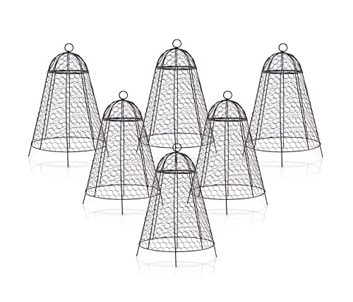 Garden Cloche Plant Protectors from Animals Chicken Wire Cloche Dome for Plants to Protect from Deer Rabbits in Outdoor Vegetable Garden with Thick Rustproof Large Cloches 12" Cage 20" High Set of 6
